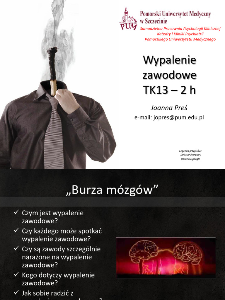 TK13 Wypalenie zawodowe | PDF