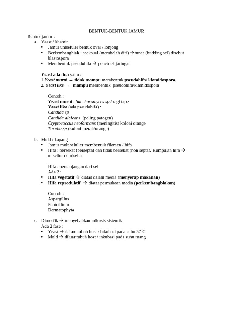 Bentuk Jamur: Yeast dan Mold | PDF