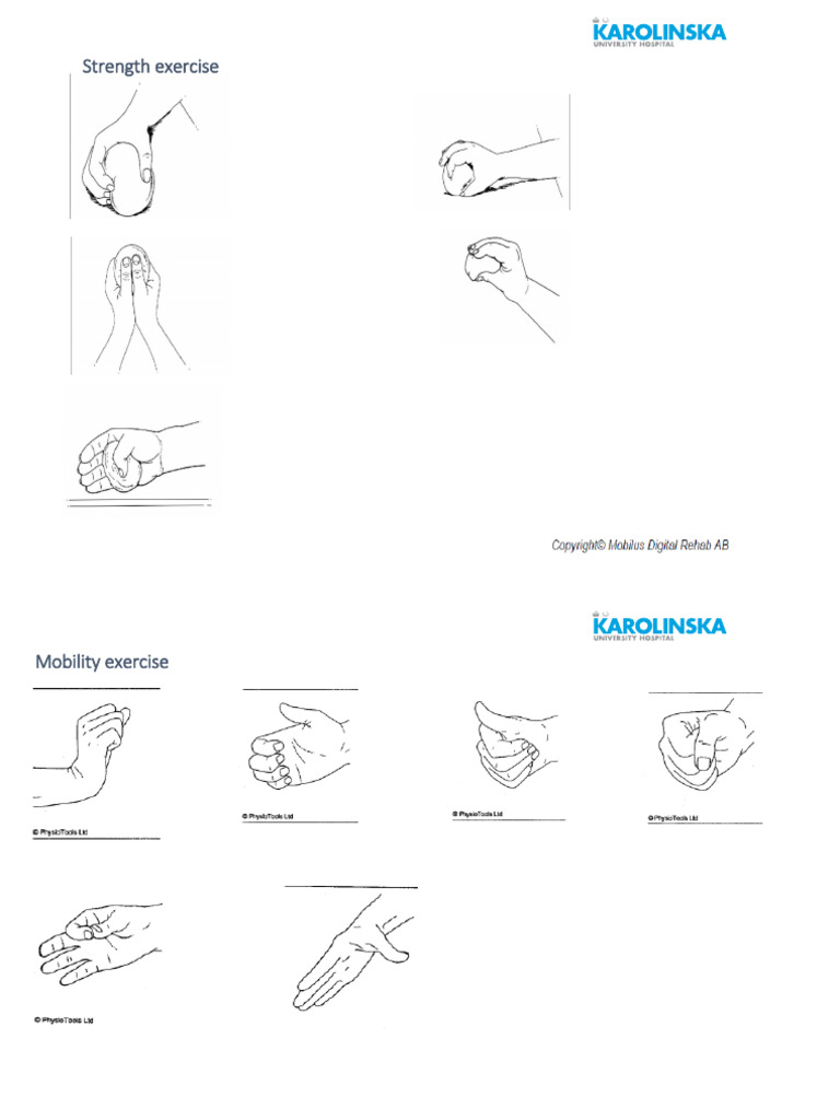 Hand Exercise Program For IBM | PDF
