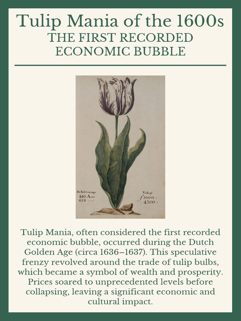 Tulip Mania by Kartikeyan and Shivansh | PDF