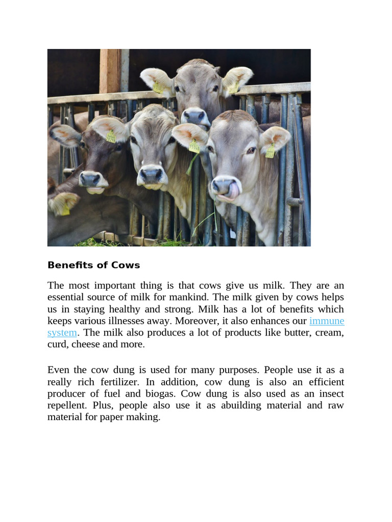 Benefits of Cows | PDF