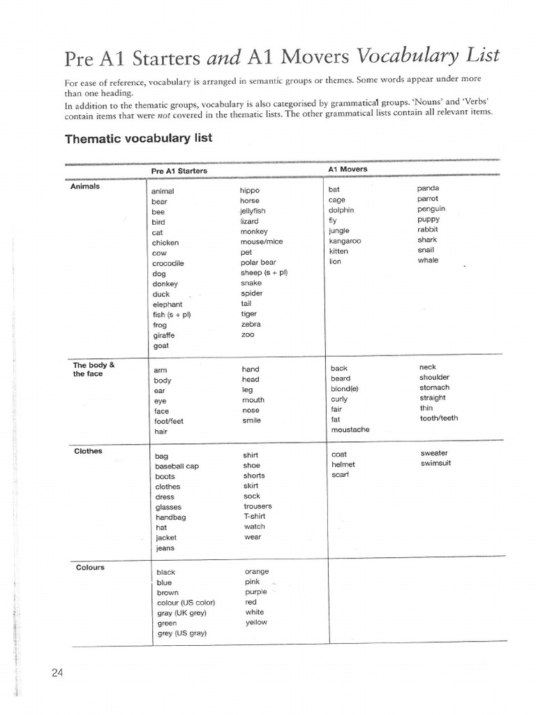 Movers Thematic Vocabulary List | PDF
