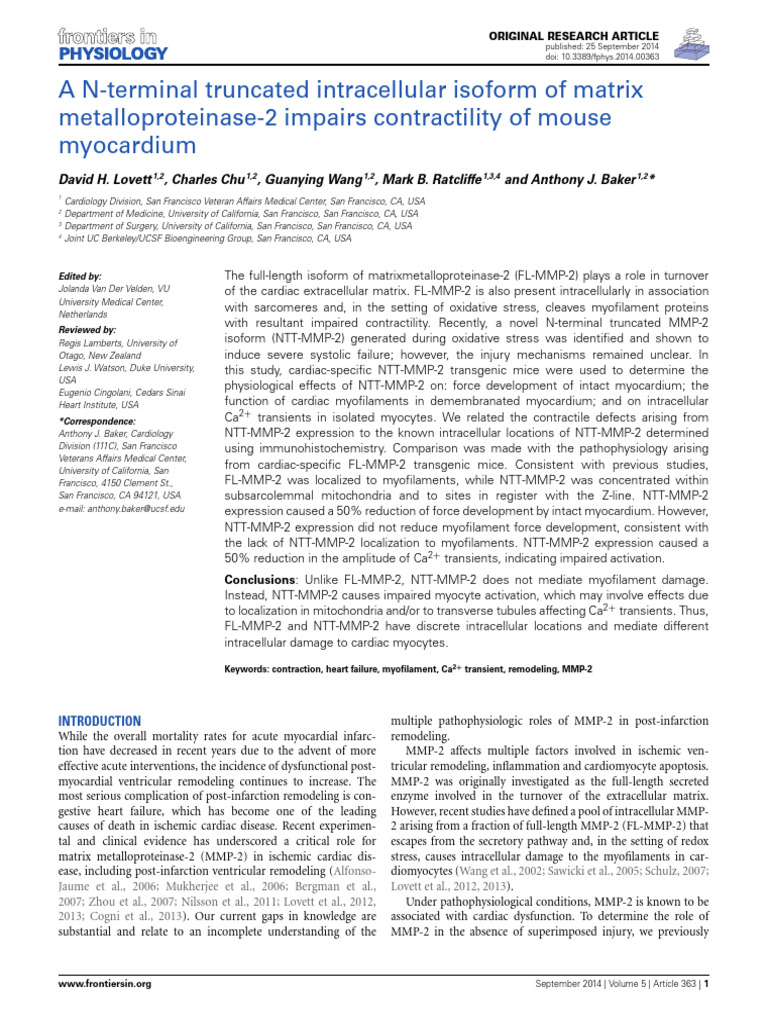 A N-terminal Truncated Intracellular Isoform of Matrix ...