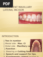 Permanent Maxillary Lateral Incisor Guide | PDF | Dentistry | Dental ...
