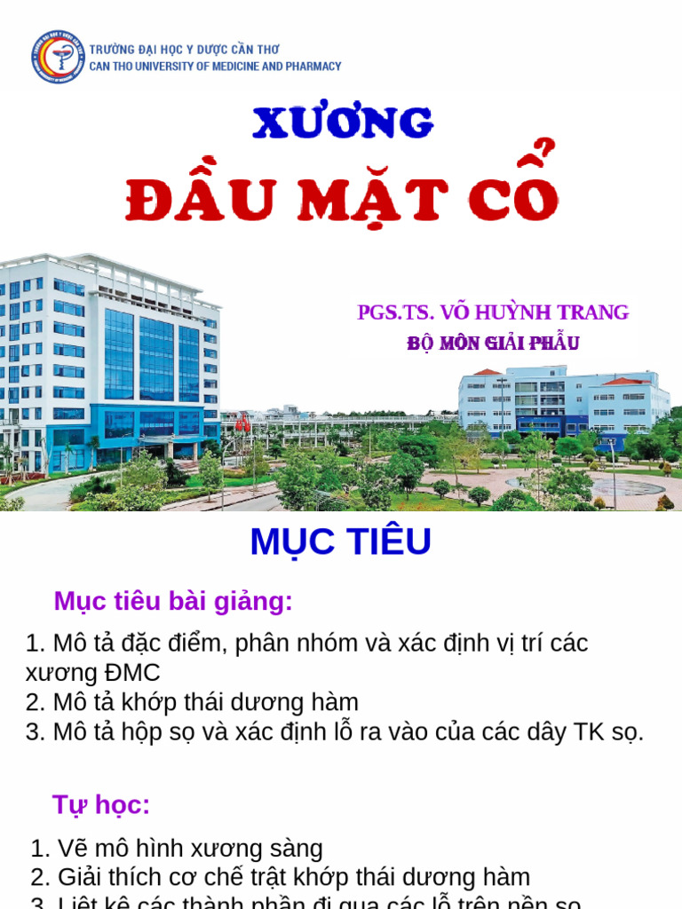 10 Xuong DMC | PDF