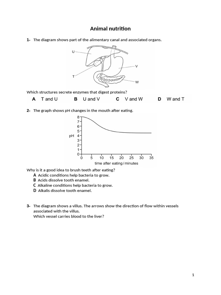 Animal Nutrition Worksheet IGCSE | PDF | Small Intestine | Digestion