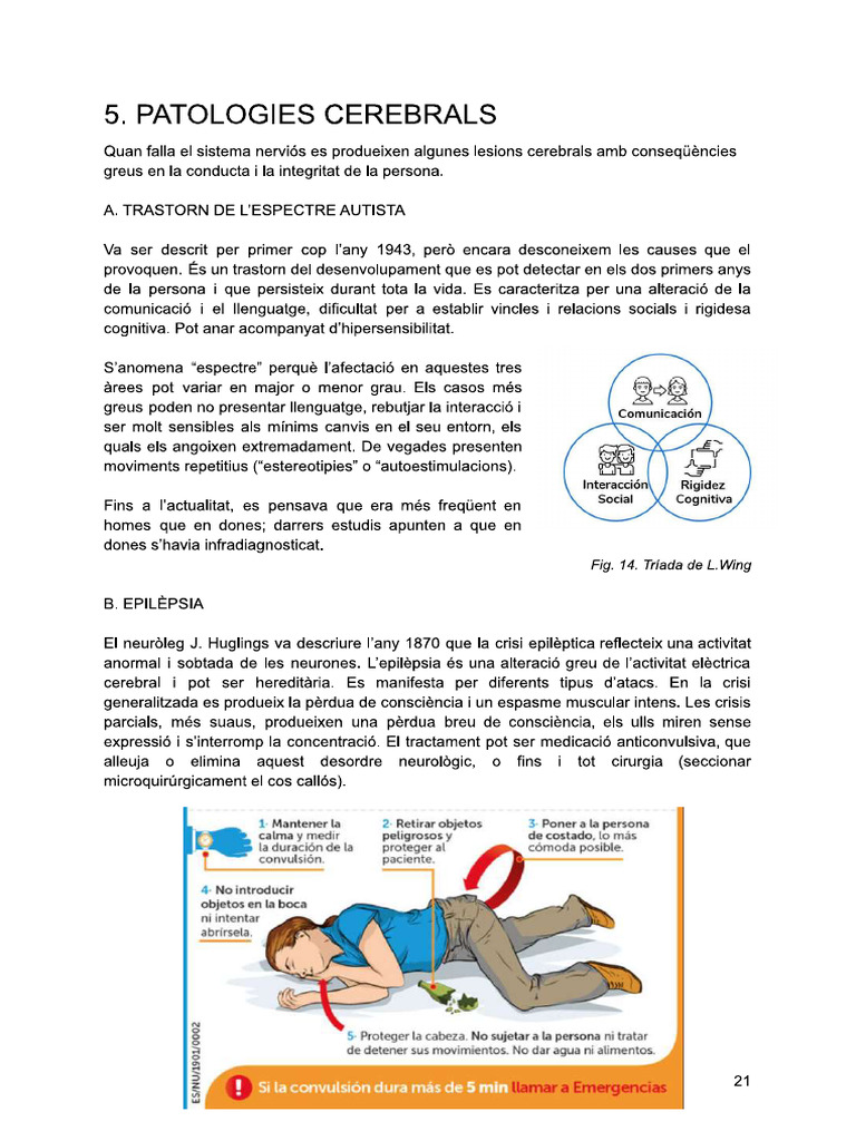 Patologies Cerebrals | PDF