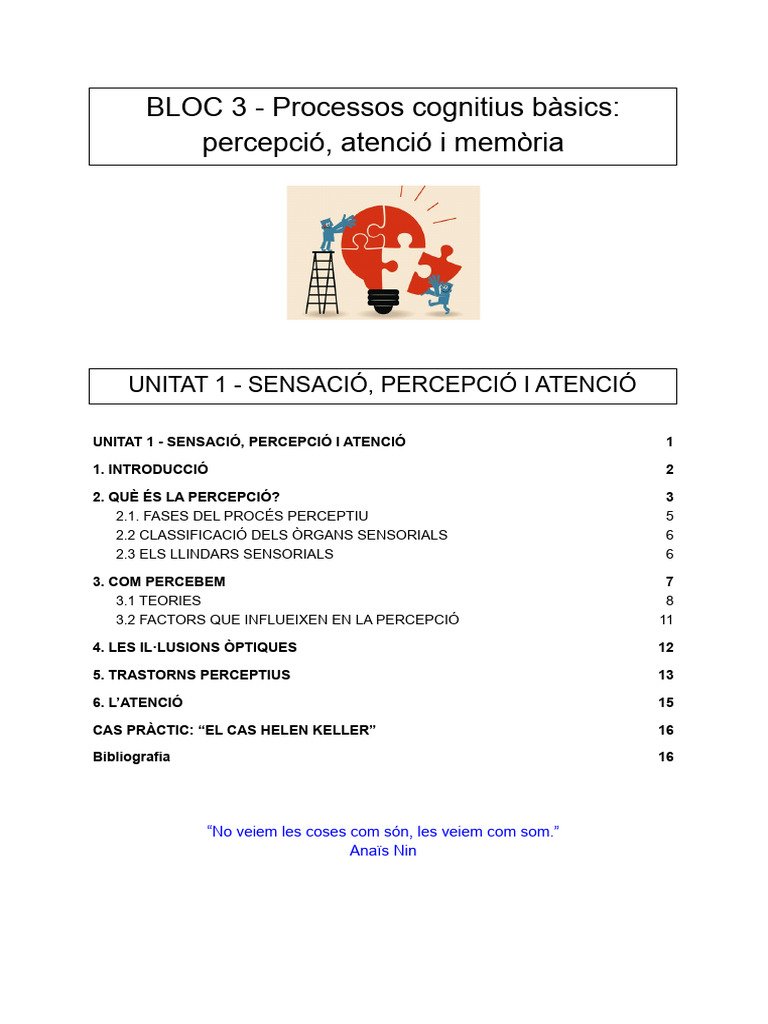 Percepció I Atenció | PDF