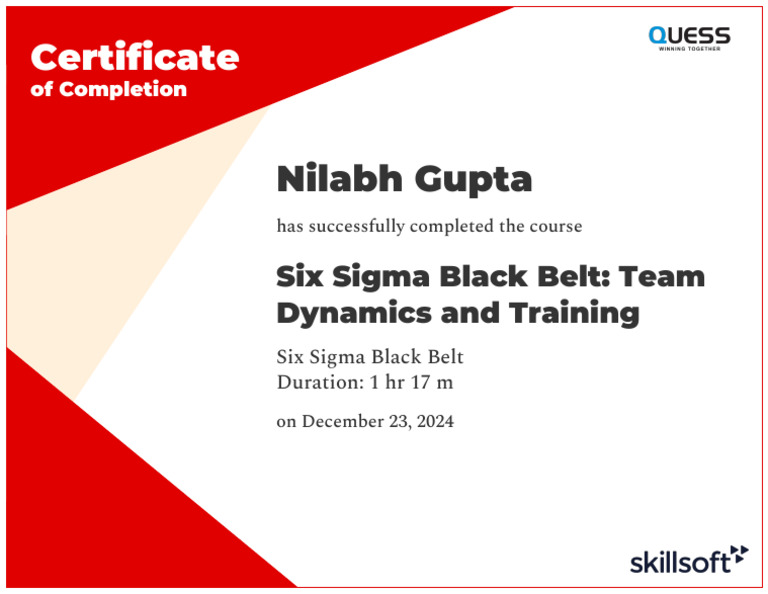 Six Sigma Black Belt_ Team Dynamics and Training | PDF