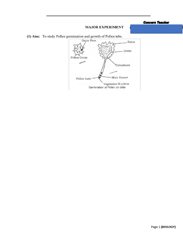 XII BIOLOGY Practical 2024-25 | PDF | Symbiosis | Mitosis
