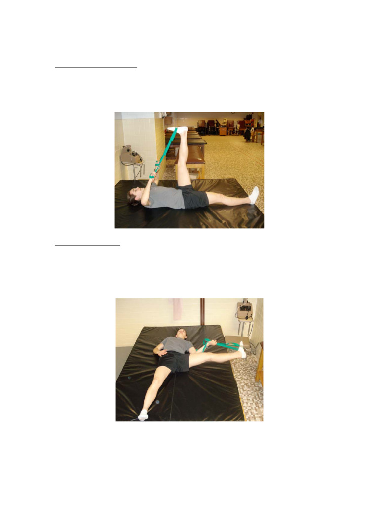Position Motion: Cord Flexibility Program | PDF