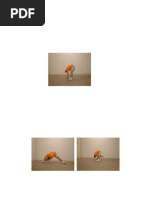 Lower Extremity Stretching Home Exercise Program (Article) Author ...