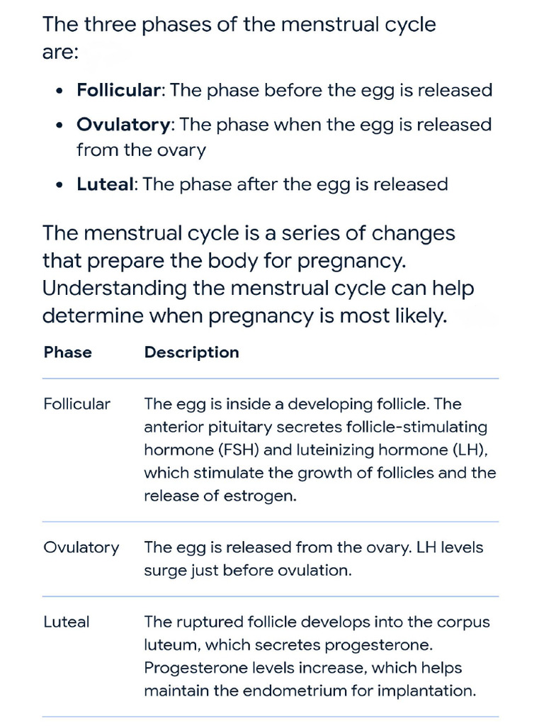 Menstrual cycle phases | PDF