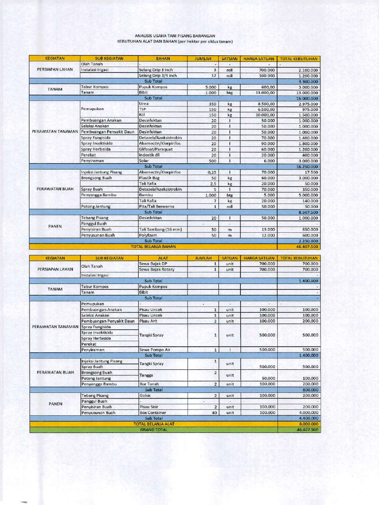 PISANG BARANGAN (1) | PDF