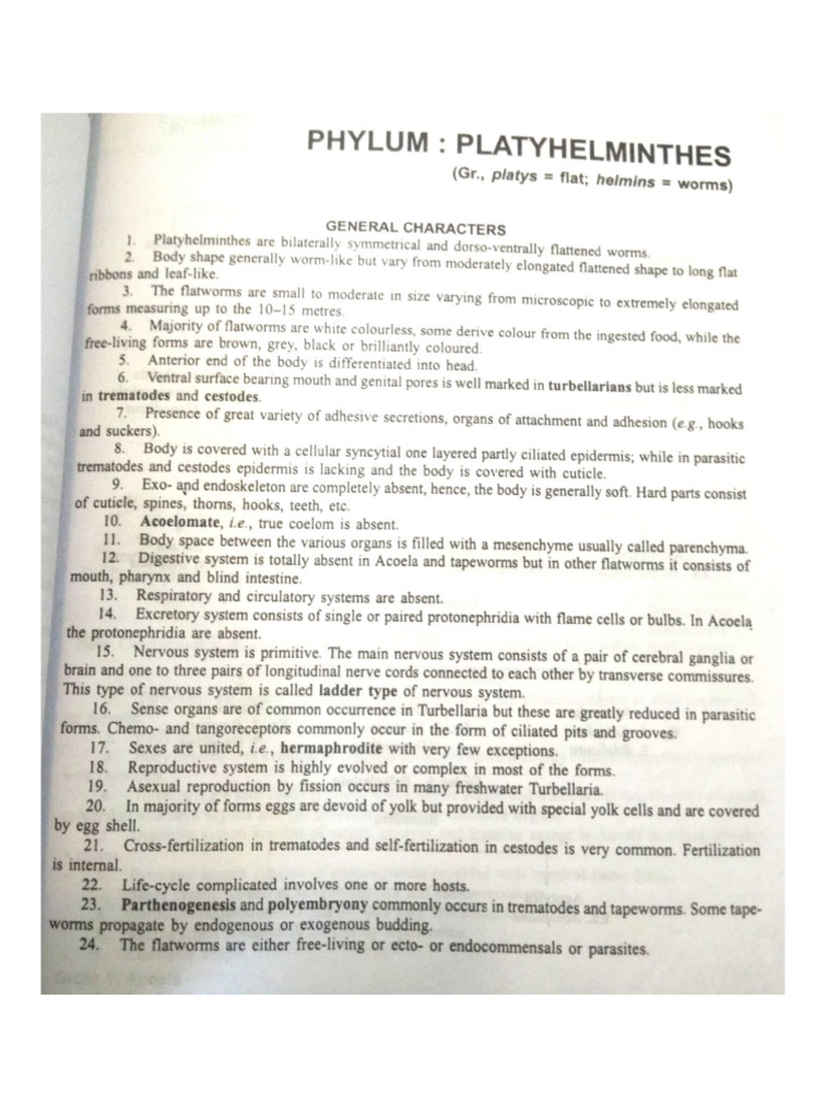 Practical Writeup - Platy - Taenia | PDF