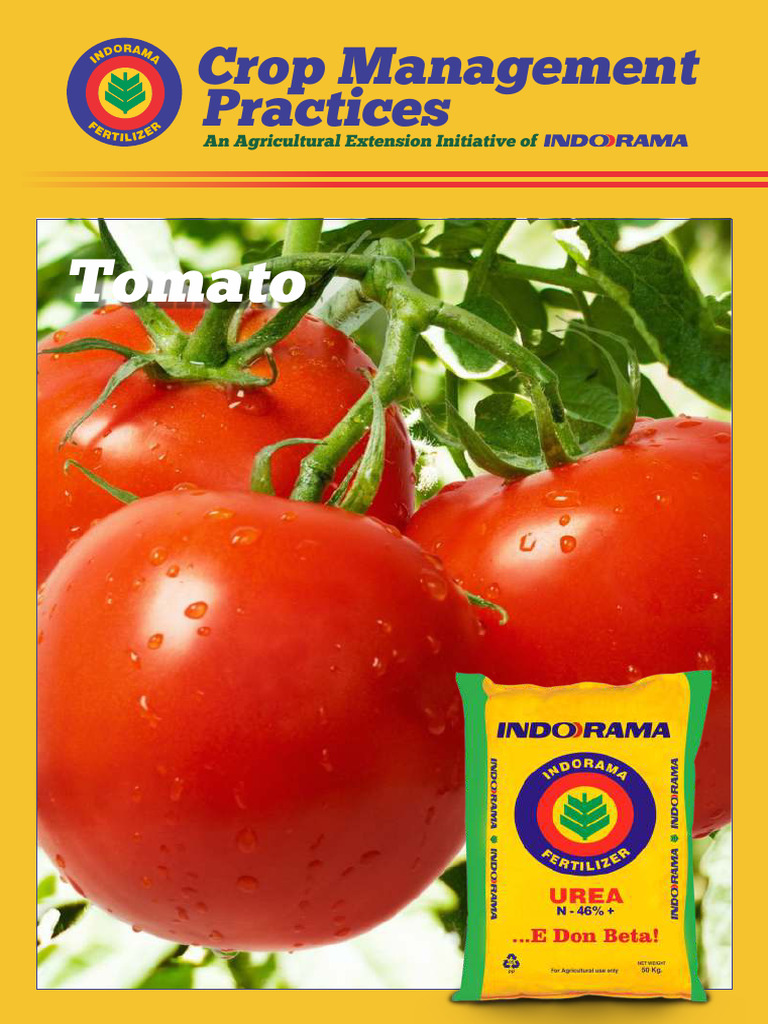 Crop Practice Tomato | PDF | Tomato | Fertilizer
