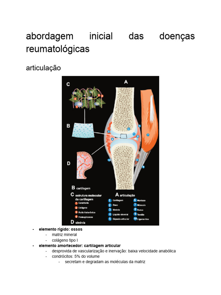 Reuma To | PDF | Célula T | Linfócito