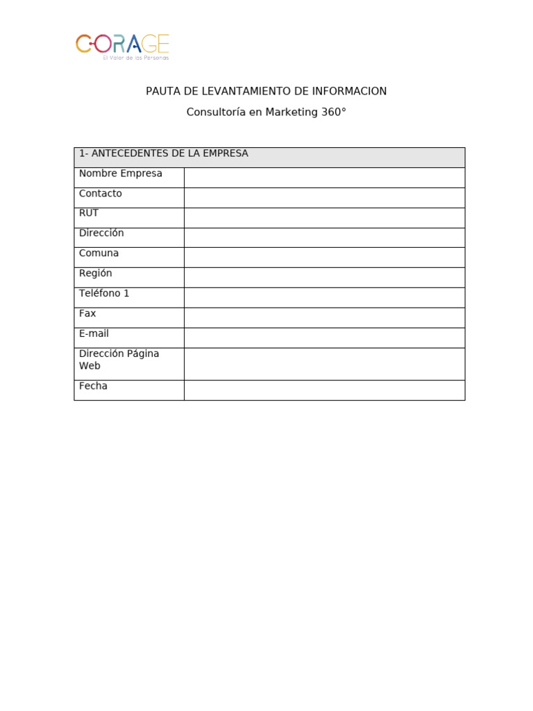 Pauta de Levantamiento de Informacion | PDF