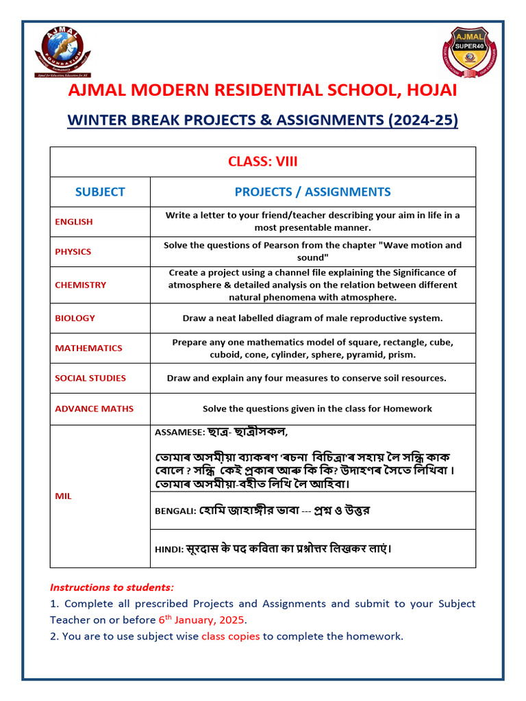 Class VIII, Winter Break Assignment Format - 2024-25 | PDF