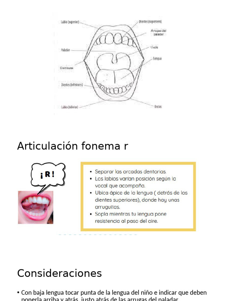 articulacion fonema r | PDF