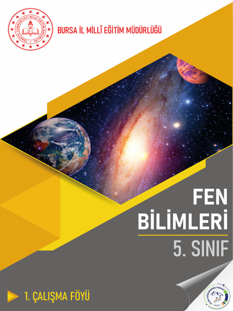 Fen5-1 | PDF