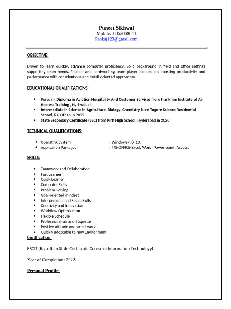 Puneet Resume | PDF