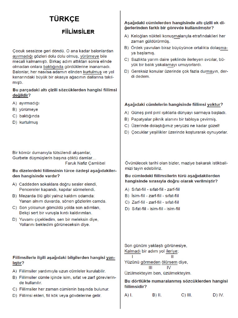 Fi̇i̇li̇msi̇ Meb Test | PDF