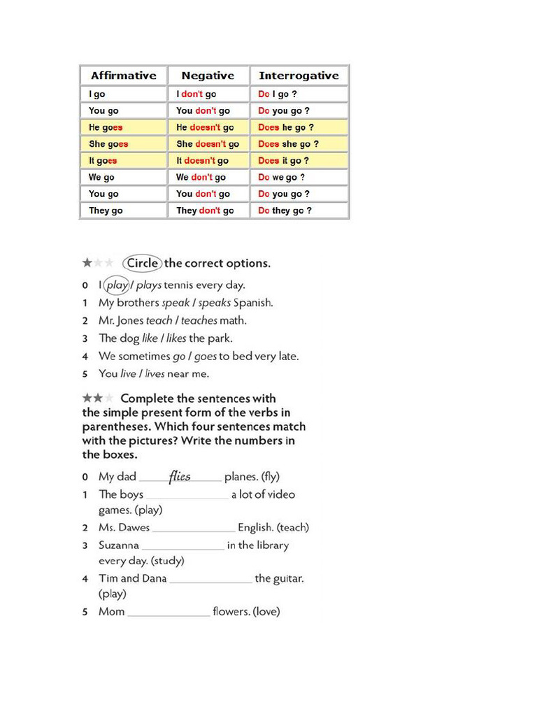 Template - Simple Present Activity | PDF