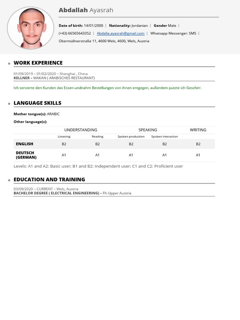 Abdallah Ayasrah's CV Summary | PDF