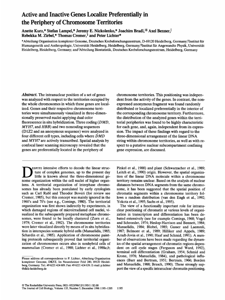 Active and Inactive Genes Locafize Preferentially in The Periphery of ...