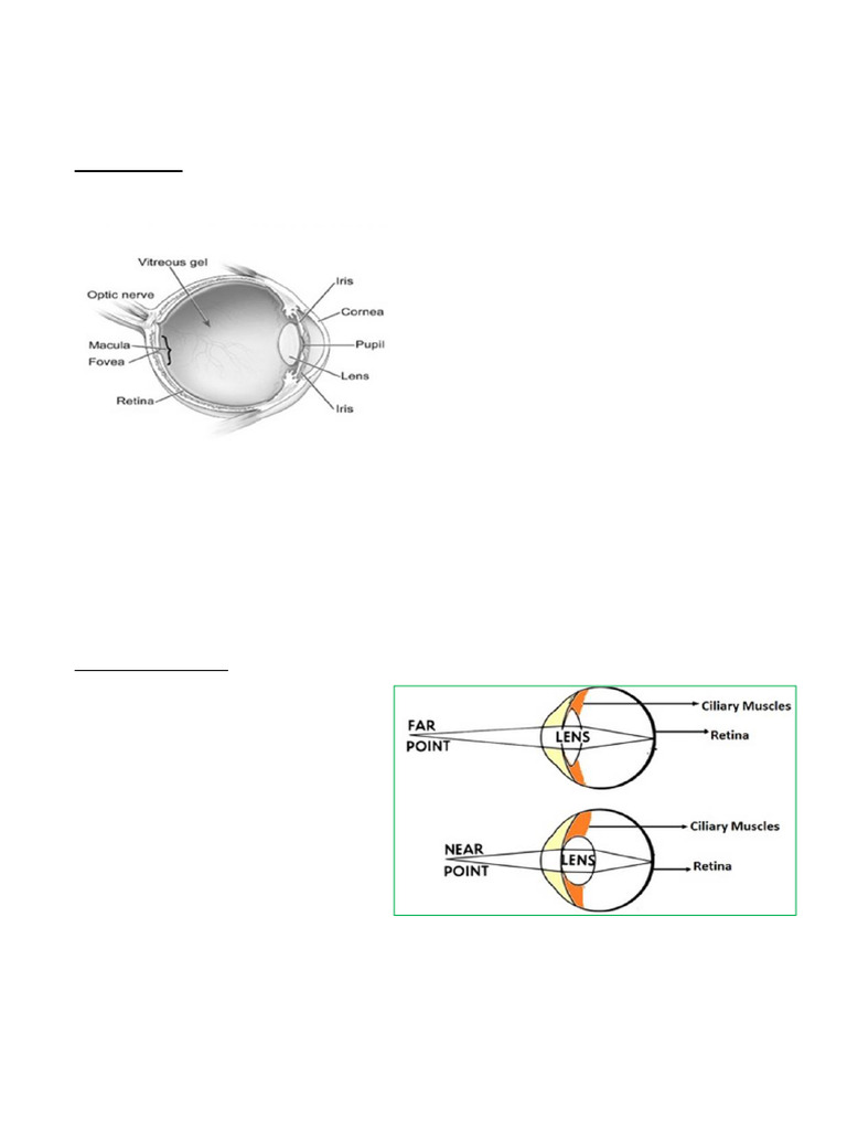 class-10-physics-human-eye-and | PDF | Eye | Atmosphere Of Earth