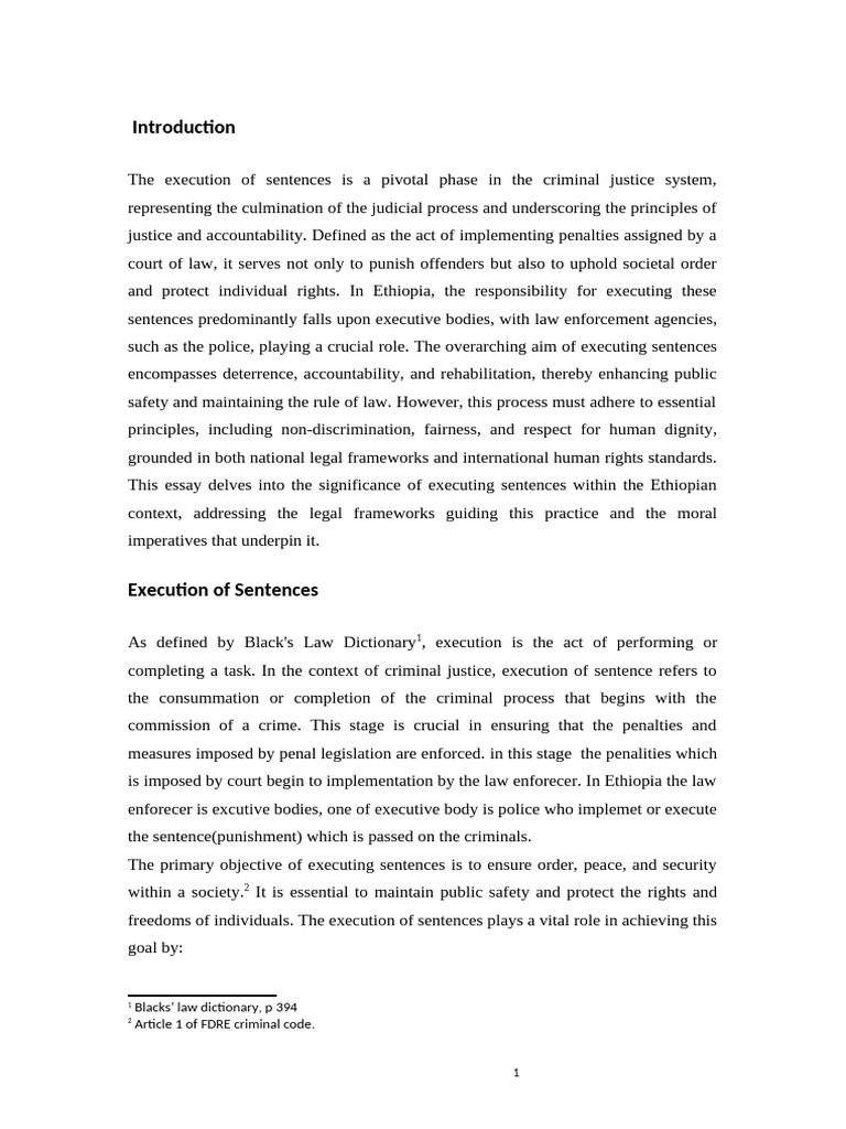 Describe The Basic Principles On Execution of Sentences and Analyze The ...