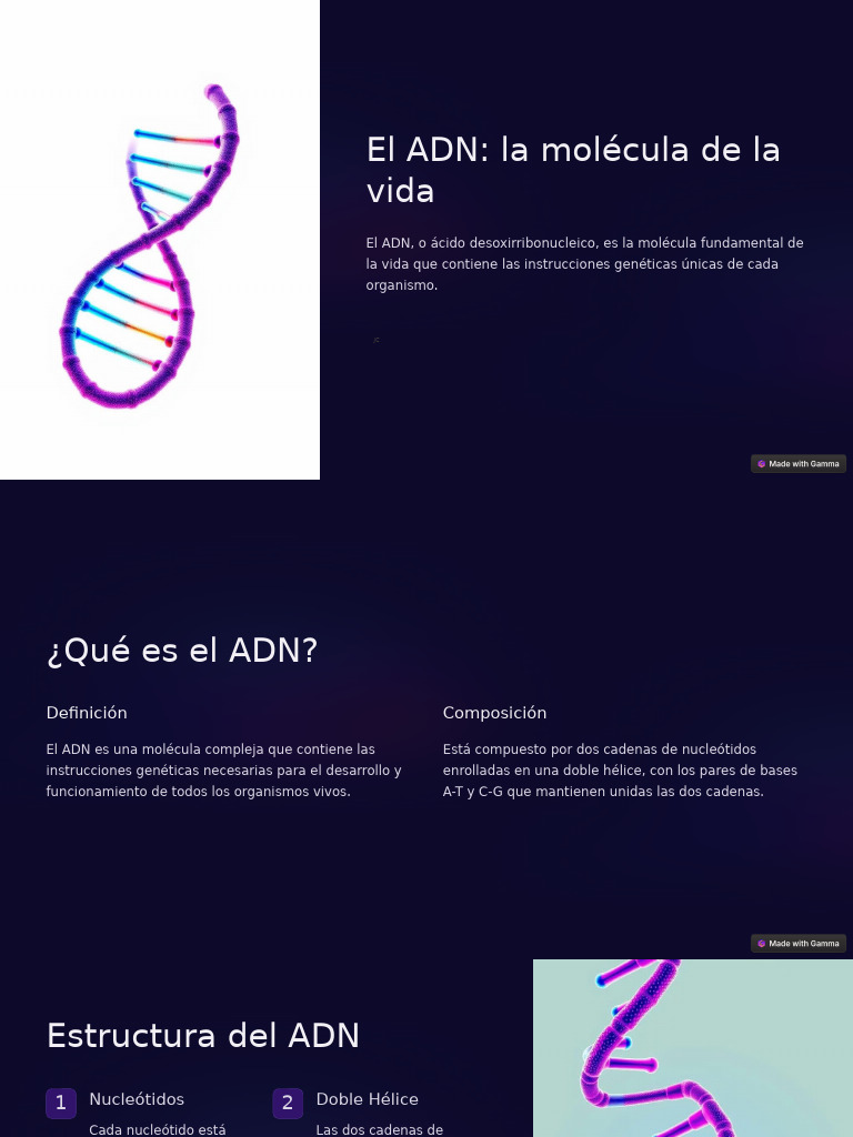 El-ADN-la-molecula-de-la-vida | PDF | Adn | Replicación De Adn