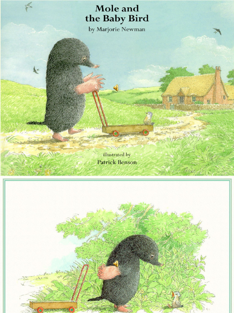 Mole and The Baby Bird | PDF