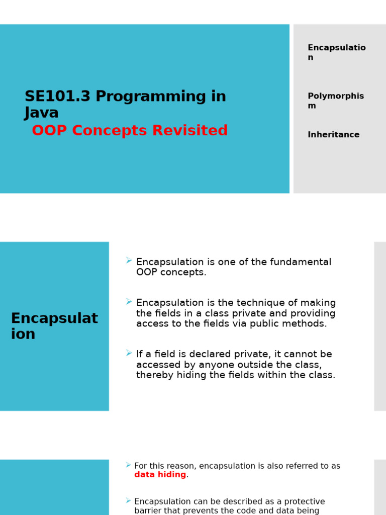 SE101 Lec3 Encap | PDF