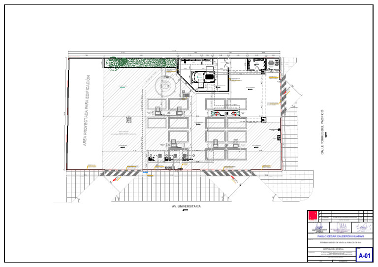 A-01 - Distribución General - Carabayllo - Calderon-Layout1 | PDF