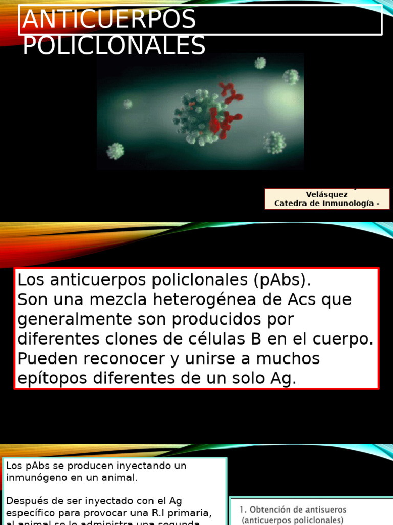 Anticuerpos Monoclonales y Policlonales | PDF | Anticuerpo | Anticuerpo Monoclonal