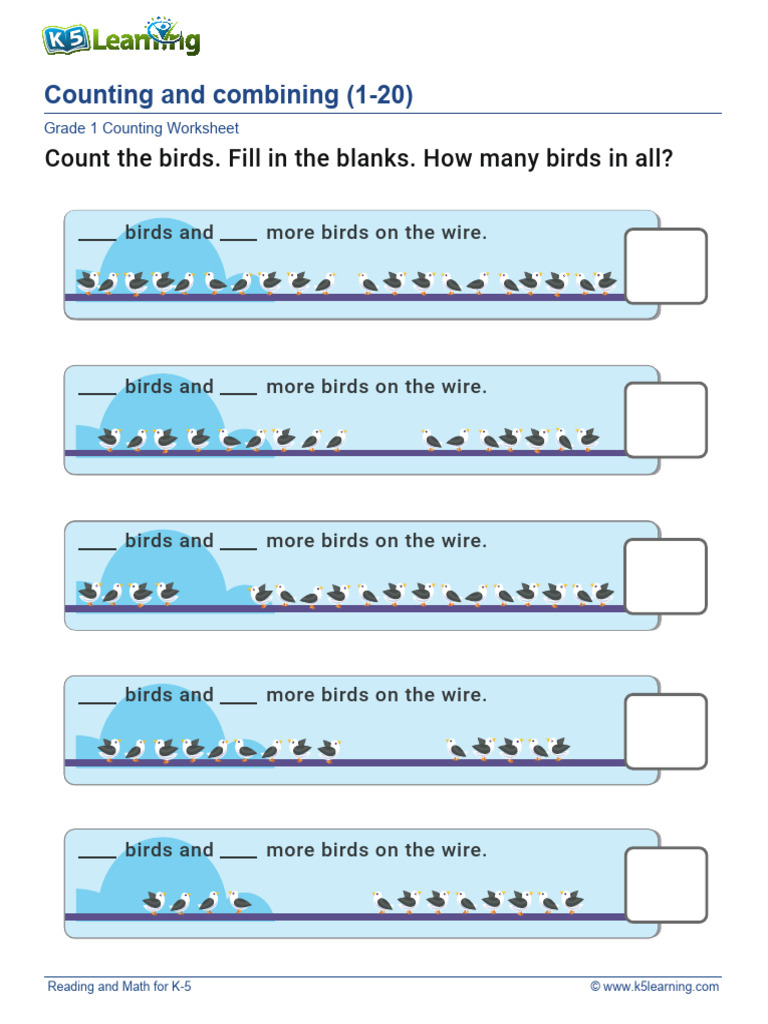 Grade 1 Bird Counting Worksheet | PDF