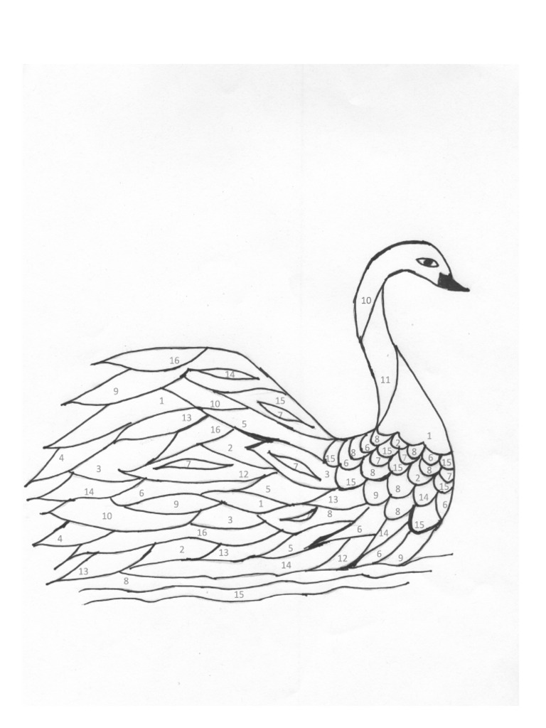 Swan Picture 1 | PDF
