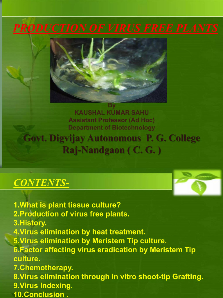 Virus Free Plant | PDF