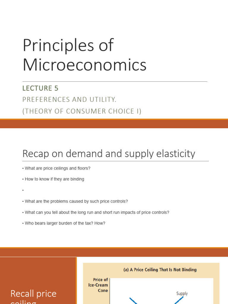 Lecture 5 | PDF | Utility | Elasticity (Economics)