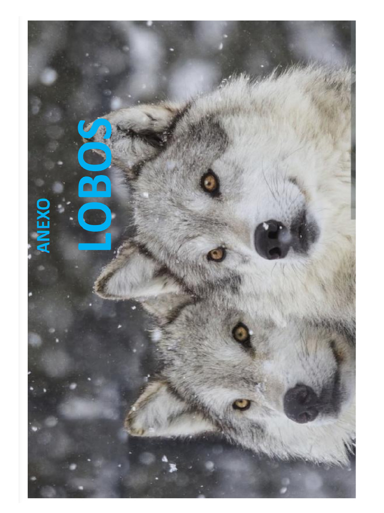 Anexo - Lobos | PDF