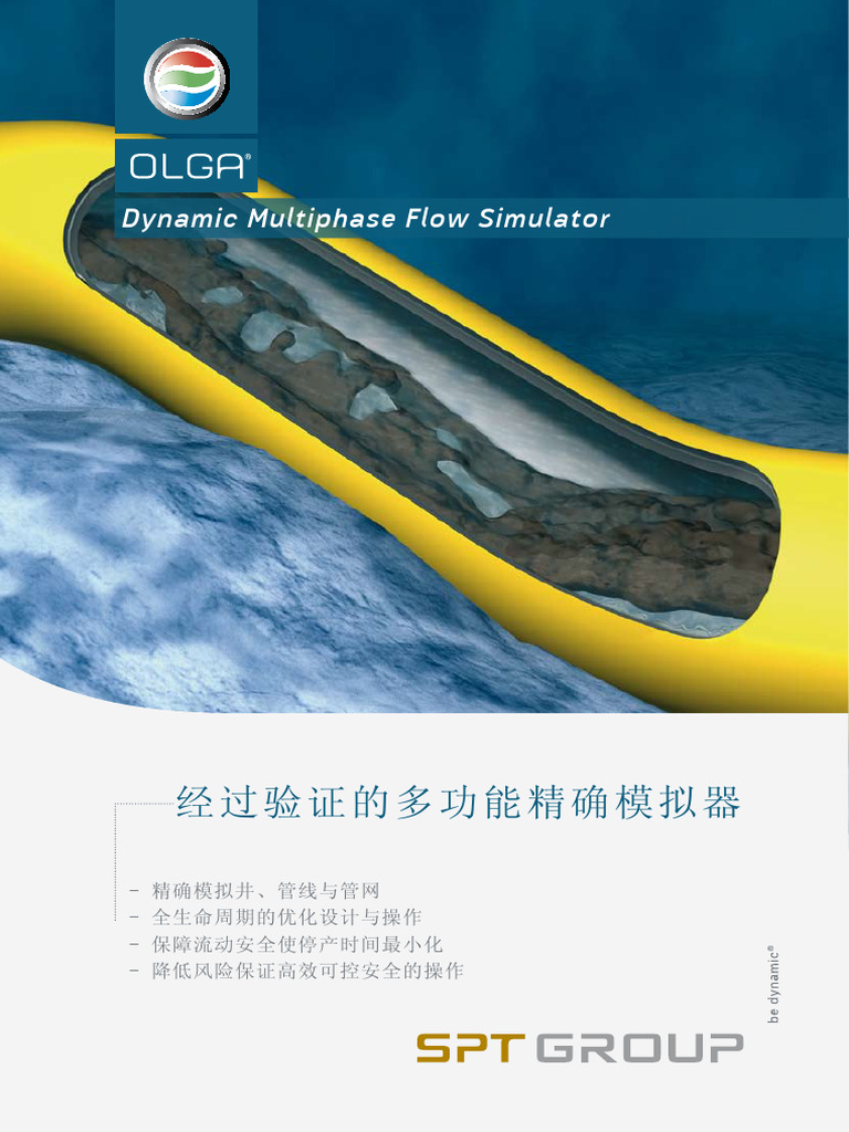 Olga Brochure | PDF