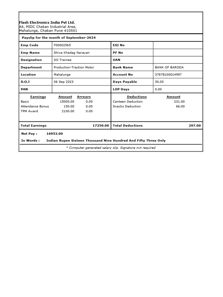 Pay Slip | PDF