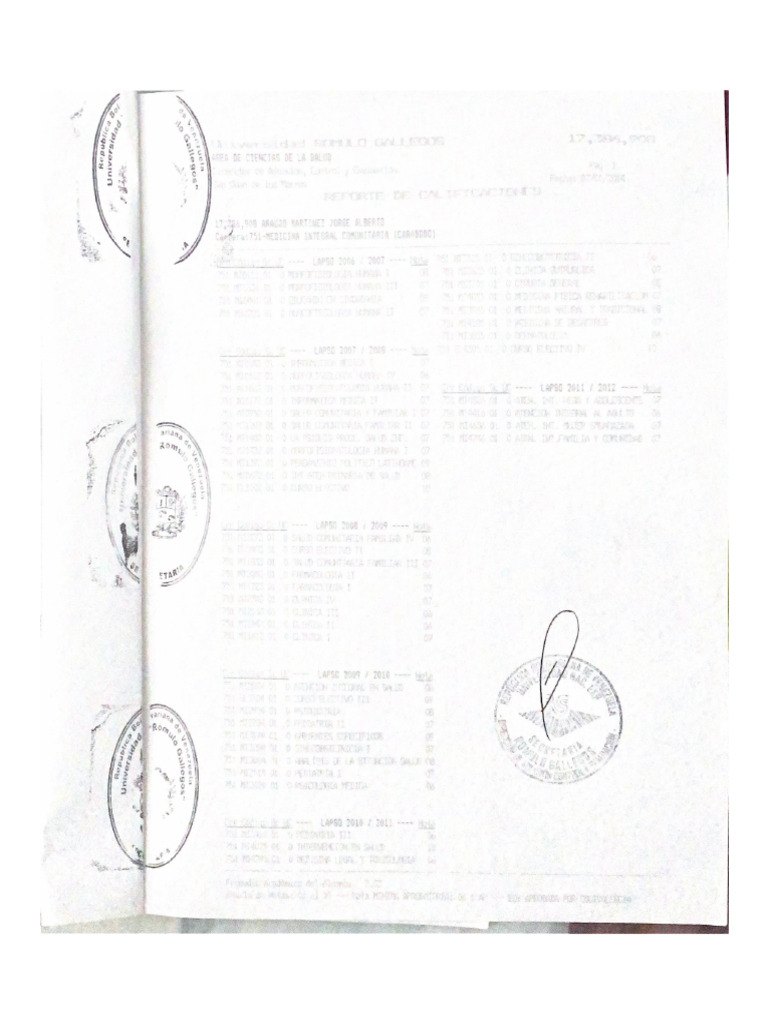 Documentos Escaneados | PDF