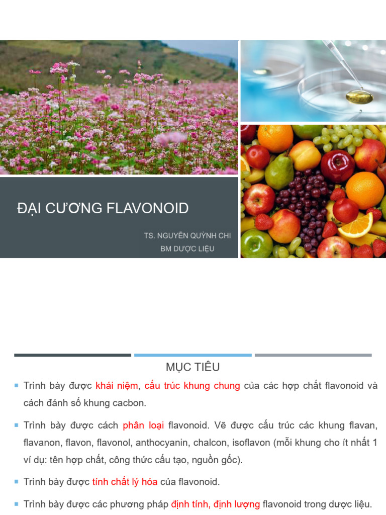 DL CH A Flavonoid | PDF