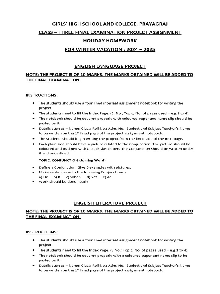 Project Assignment Class 3 Winter Holiday Homework 2024 25 | PDF ...