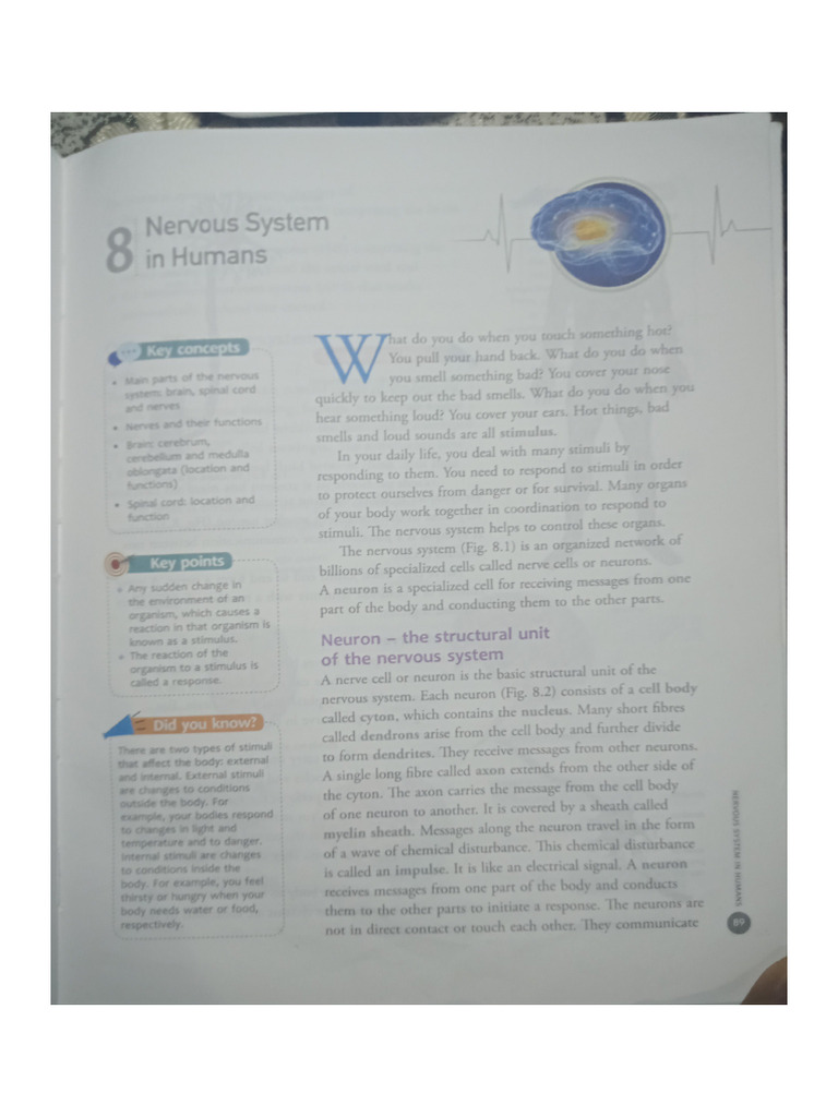 Biology Chapter - 8 | PDF