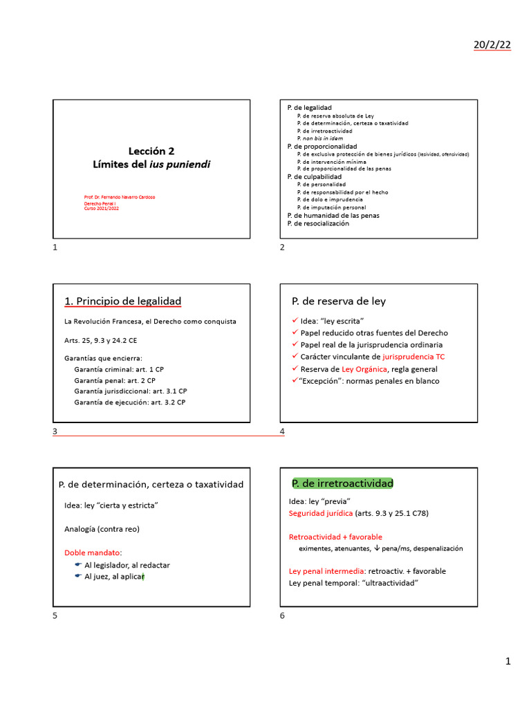 Lección 2 (Límites del ius puniendi) | PDF | Derecho penal | Ley común