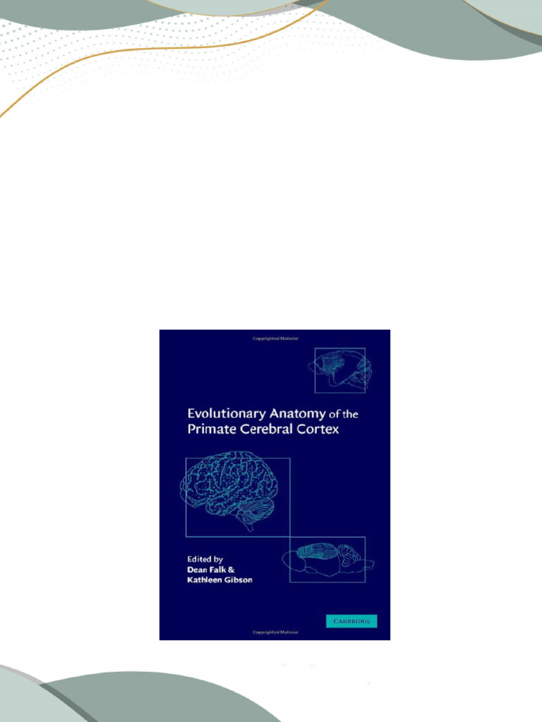 Buy ebook Evolutionary Anatomy of the Primate Cerebral Cortex 1st ...